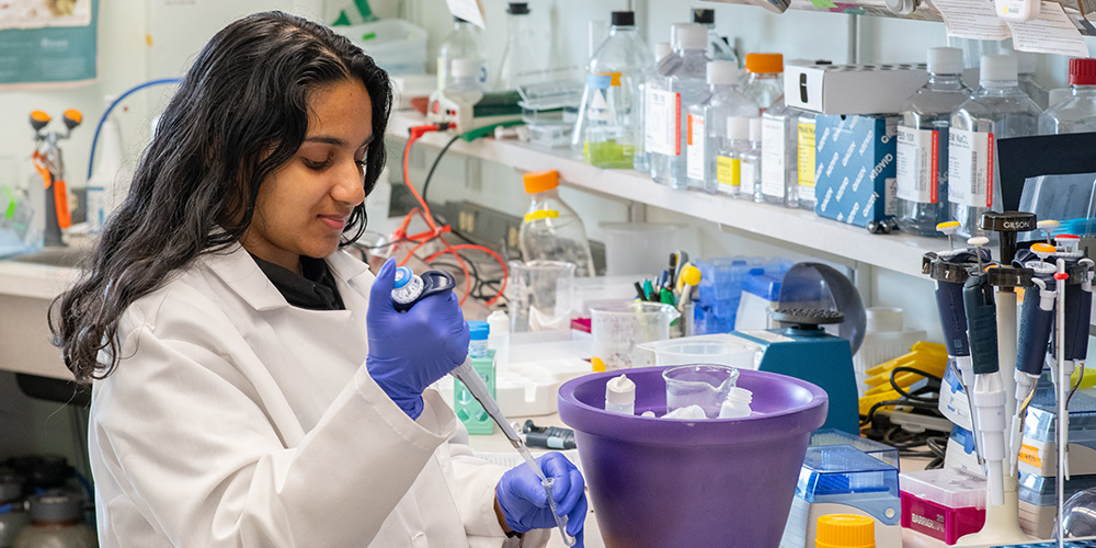 The Dyda Lab
